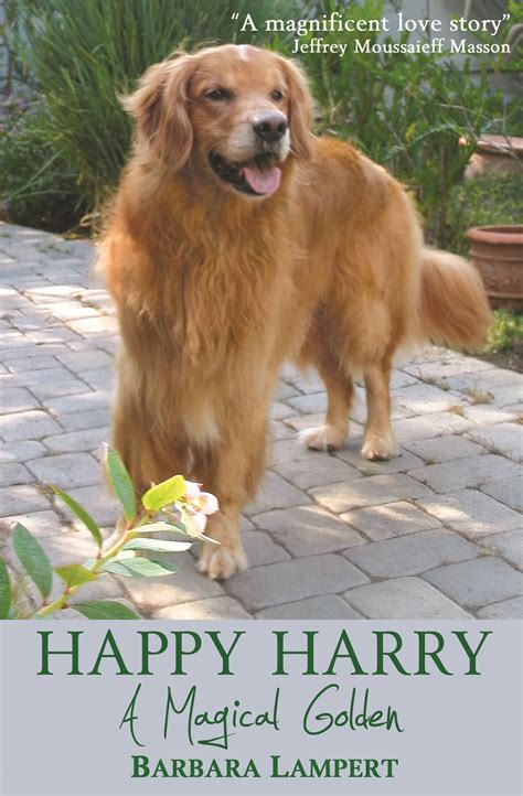 Happy Harry By Barbara Lampert