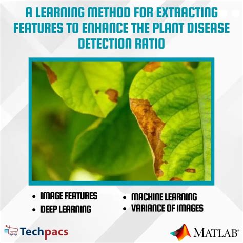 A Comprehensive Approach For Enhanced Plant Disease Detection Using Machine Learning And Deep