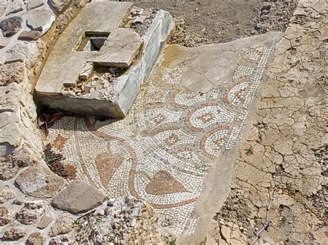 The Hidden Mosaics Among The Side Market Shops Part Two Nakhati Jon