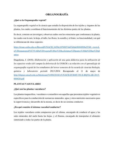 Organografía Plantas Vasculares Raíz Pdf Raíz Plantas