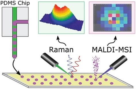 Droplet Microfluidics With Maldi Ms Detection Ufluidix
