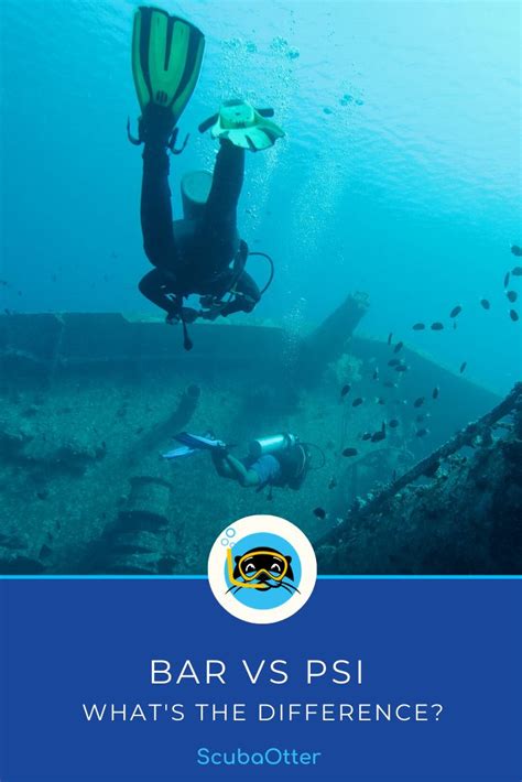 Understanding Pressure In Scuba Diving Learn To Scuba Dive Scuba Diving Diving