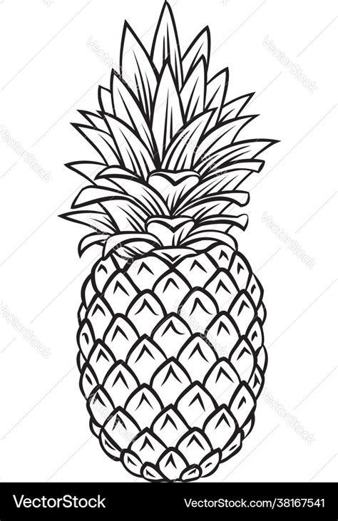 Pineapple Clip Art Outline
