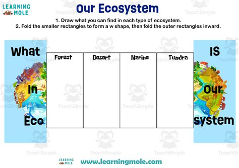 Ecosystem Activity By Teach Simple