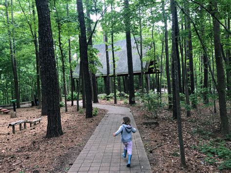 Hemlock Bluffs Nature Preserve In Cary 7 Things We Love