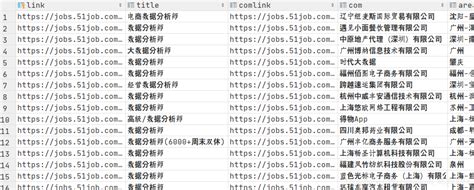爬虫爬取招聘信息并进行数据分析 招聘数据爬取与预处理论文 今天你debug了吗的博客 csdn博客