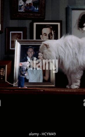 Stuart Little 2 Stuart Little Voice Michael J Fox 2002 ©columbia
