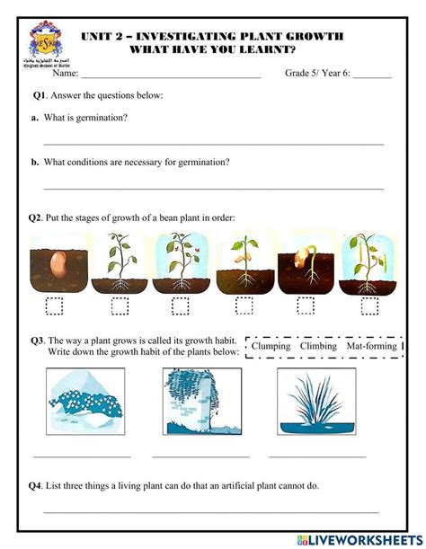 Plant Growth Stages Worksheet