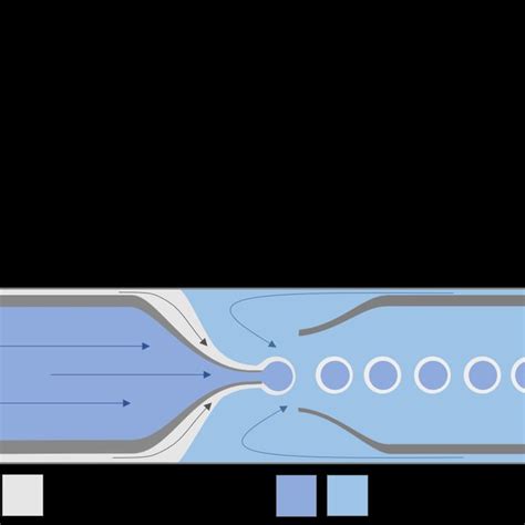 Molecular Structures Of A Pluronic F127 Block Copolymer And B Download Scientific Diagram