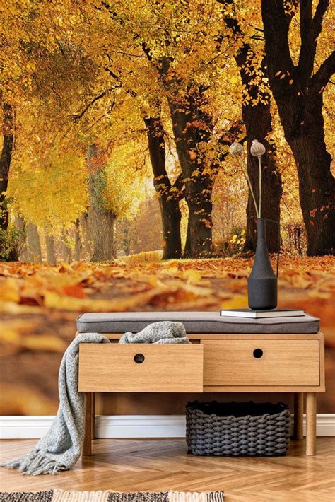 Golden Autumn Pathway Mural Wallpaper Warm Leafy Landscape Design
