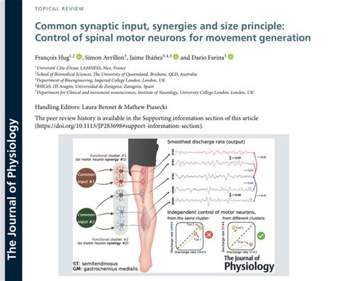 Dr Feba Jose On Linkedin Encourage Functional Activities To Enhance Independence By Activating