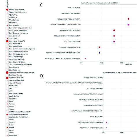 Results From Gtex V8 Differential Gene Expression Analysis And