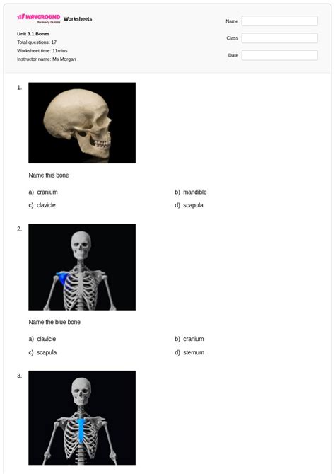 50 Bones Worksheets On Wayground Free And Printable