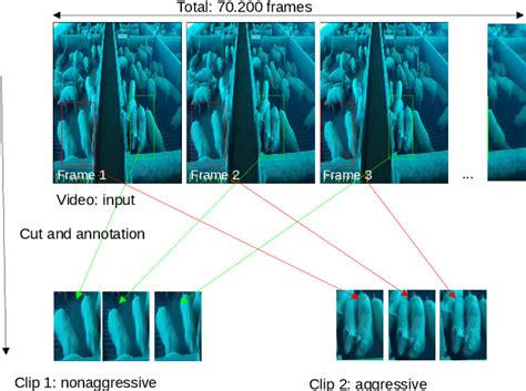 Pig Aggression Classification Using Cnn Transformers And Recurrent