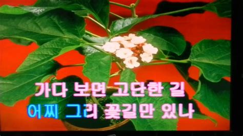 김은희인생길 Youtube