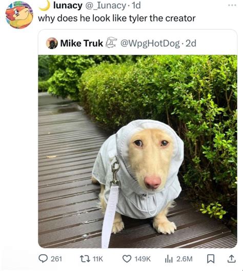 Dylan Minnette As A Cat Really Funny Pictures Dylan Dylan Minette Cute