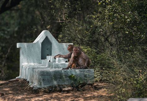 Immigration Images Photos Download The Best Free Immigration Images