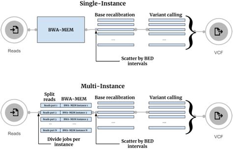 Hour Whole Genome Analysis With Gatk Seven Bridges