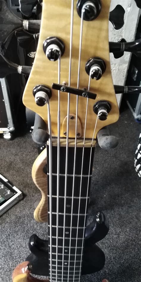 On Hold 1150 Pound Celinder Custom 6 Michael Andersen Model Basses