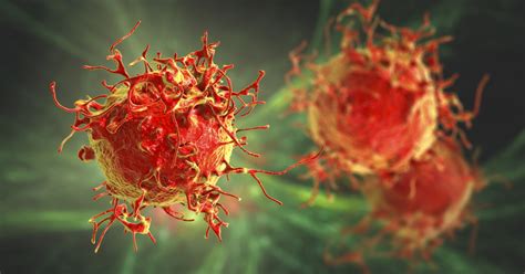 Novel Drug That Targets Cell Immortality May Improve Effects Of