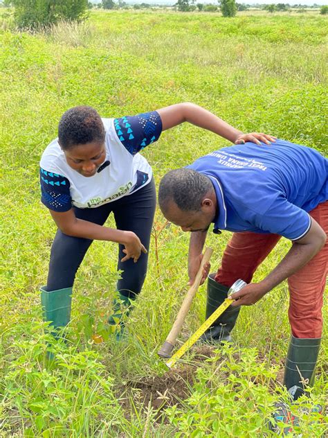 Why Is It Important To Conduct Soil Sampling And Soil Testing Before 1