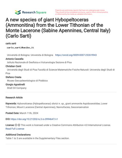 Pdf A New Species Of Giant Hybopeltoceras Ammonitina From The Lower