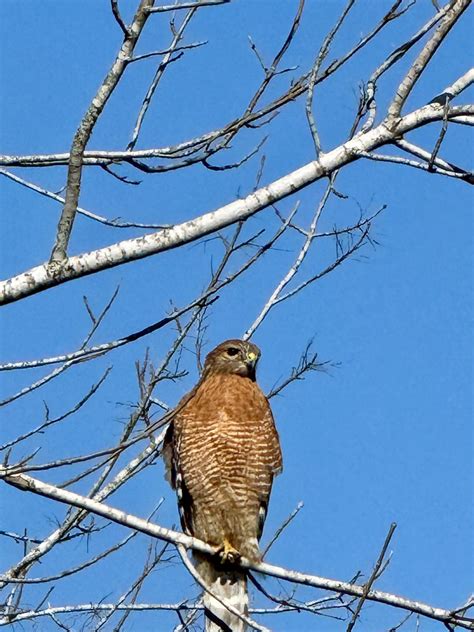 Untitled Bob Branderhorst Flickr