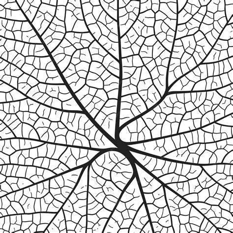 Premium Vector Leaf Vein Texture Abstract Background With Close Up
