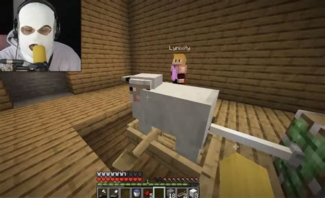 Most Average Day For Liger And Lynix R Donibobes