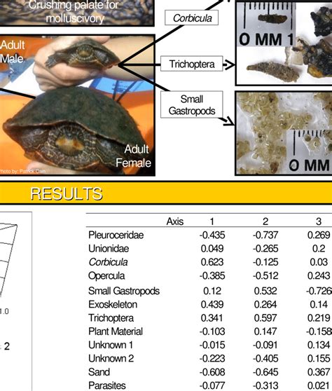 Diet Variable Correlations With Nms Axes Axis 1 Explains 454 Of The Download Scientific