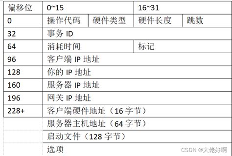 计算机网络常见数据包结构回顾 常态数据包 csdn博客