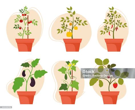 야채와 과일을 재배하는 화분에 심은 식물 모음 토마토 칠리 페퍼 가지 오이 딸기를 테라코타 화분에 넣습니다 정원 세트 컨셉입니다 플랫 절연 벡터 그림 0명에 대한 스톡 벡터