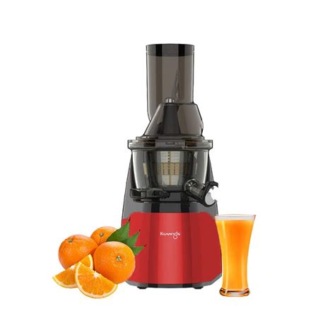 Wide Feed Chute Godspeeds Cold Press Juicer Wide 58 Chute