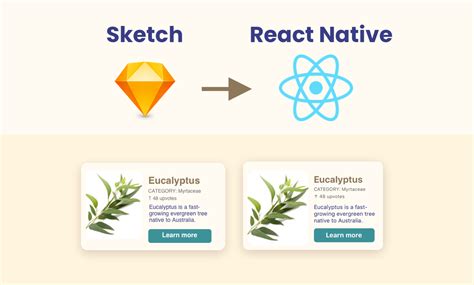 Recreating A Simple Sketch Component In React Native By Jenn Ux Collective