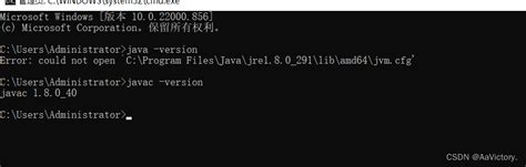 error could not open `c program files java jre1 8 0 202 lib amd64 jvm