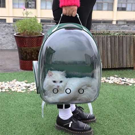 Bubble Backpack For Cats Clear See Through Cat Carrier Backpack