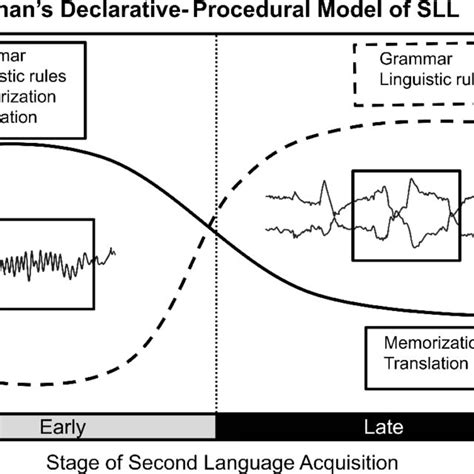 Representation Of Ullmans Declarative Procedural Model Of Sll With An