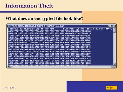 Chapter 11 Computers And Society Security Privacy And Ethics Ppt Download
