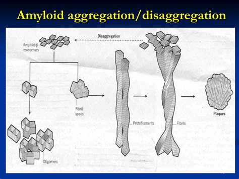 Ppt Alzheimers Disease Treatment And Prevention Powerpoint