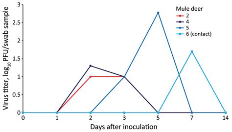 Figure 1 Experimental Sars Cov 2 Infection Of Elk And Mule Deer