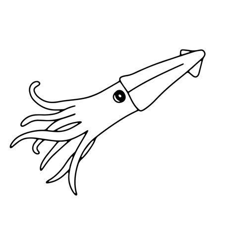 Squid Black And White Clipart