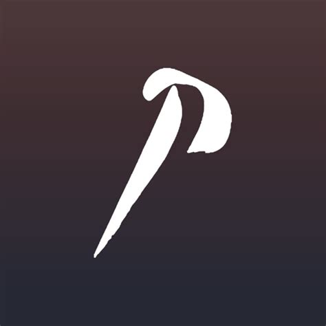 Picasso Pro By Inc