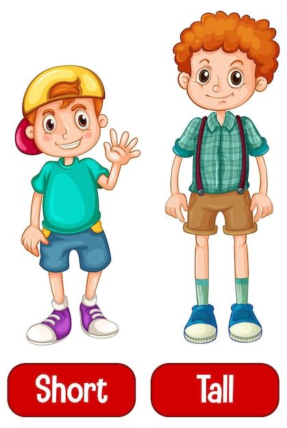 Short Vs Tall Clipart