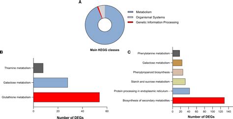 Frontiers Comparative Transcriptomic Profiling Reveals Differentially Expressed Genes And