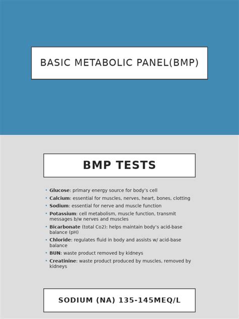 Understanding Basic Metabolic Panel Tests Pdf Medical Specialties