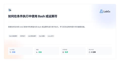 如何在条件执行中使用 Bash 或运算符 Labex