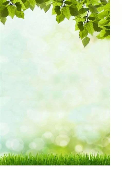 Class Program Grade 3 1docx