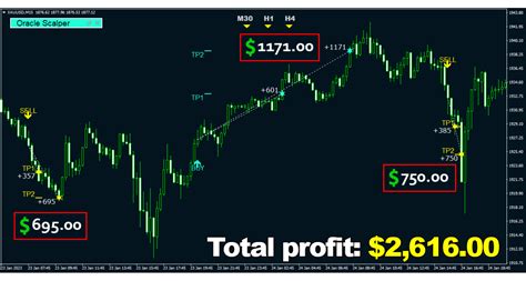 Oracle Scalper Manager