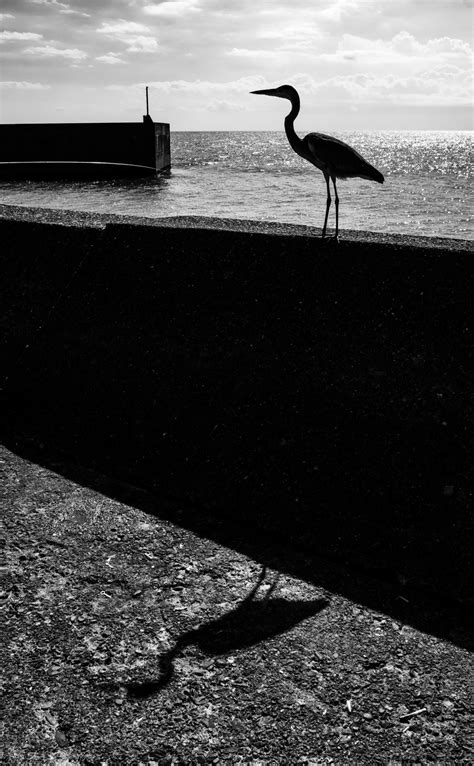 Cest à Quel Sujet Quel Est Lobjet Shizuoka Do I Pass The Turing