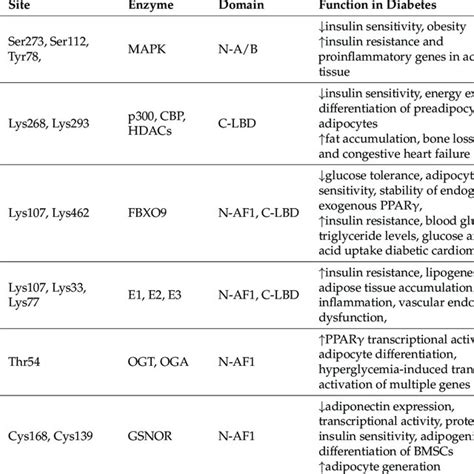Pparγ Modification Site And Function In Diabetes Download Scientific